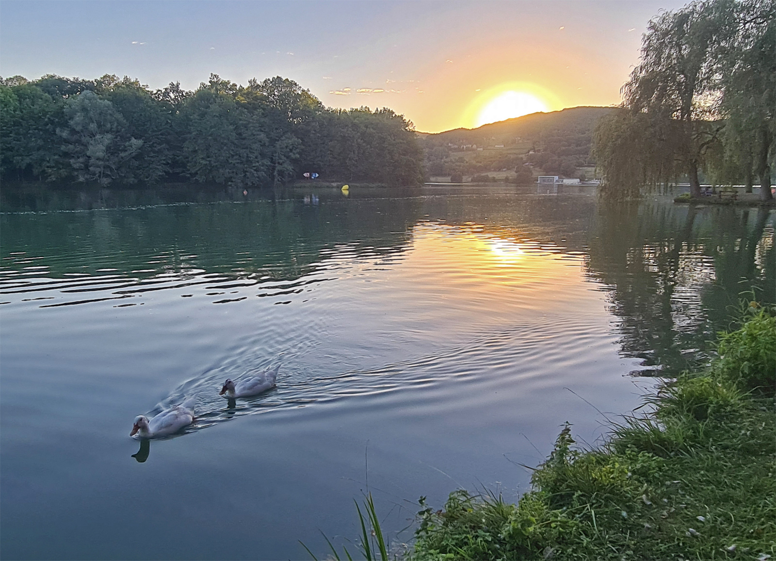Lac du Causse - Sites Naturels / Parcs Naturels à Lissac-sur-Couze ...