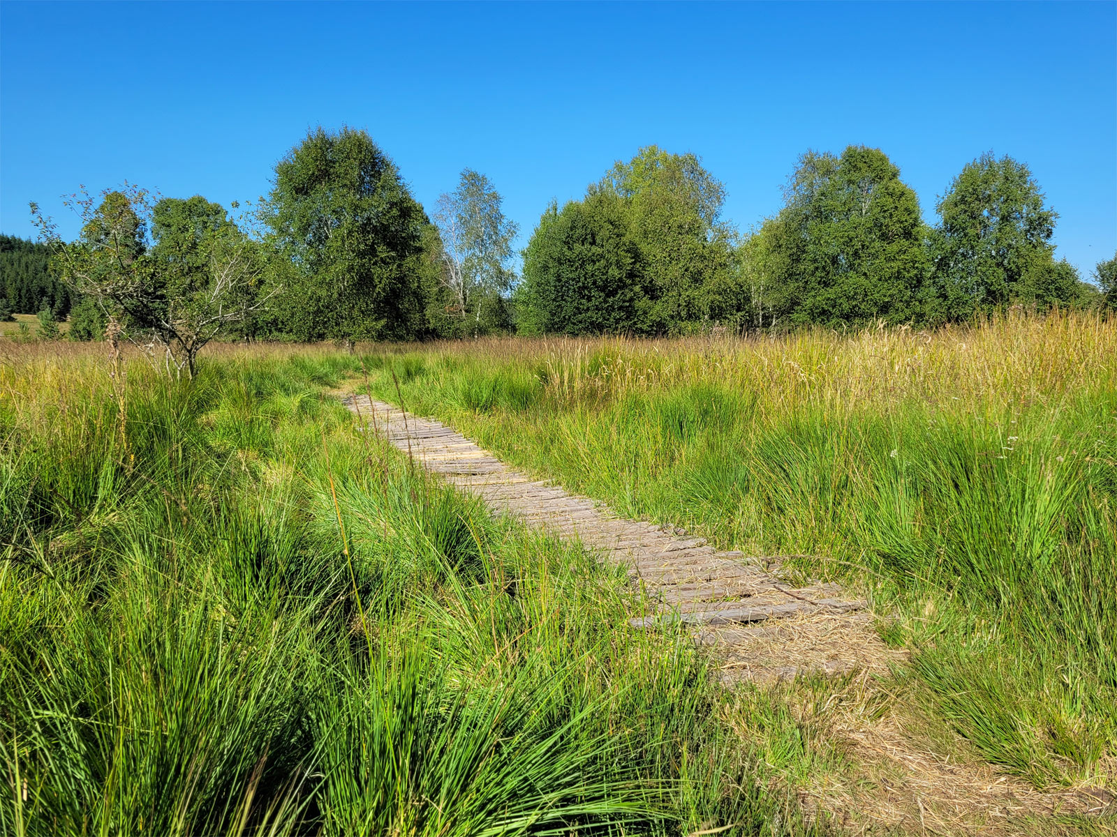 Parc naturel régional du Plateau de Millevaches - Sites Naturels ...