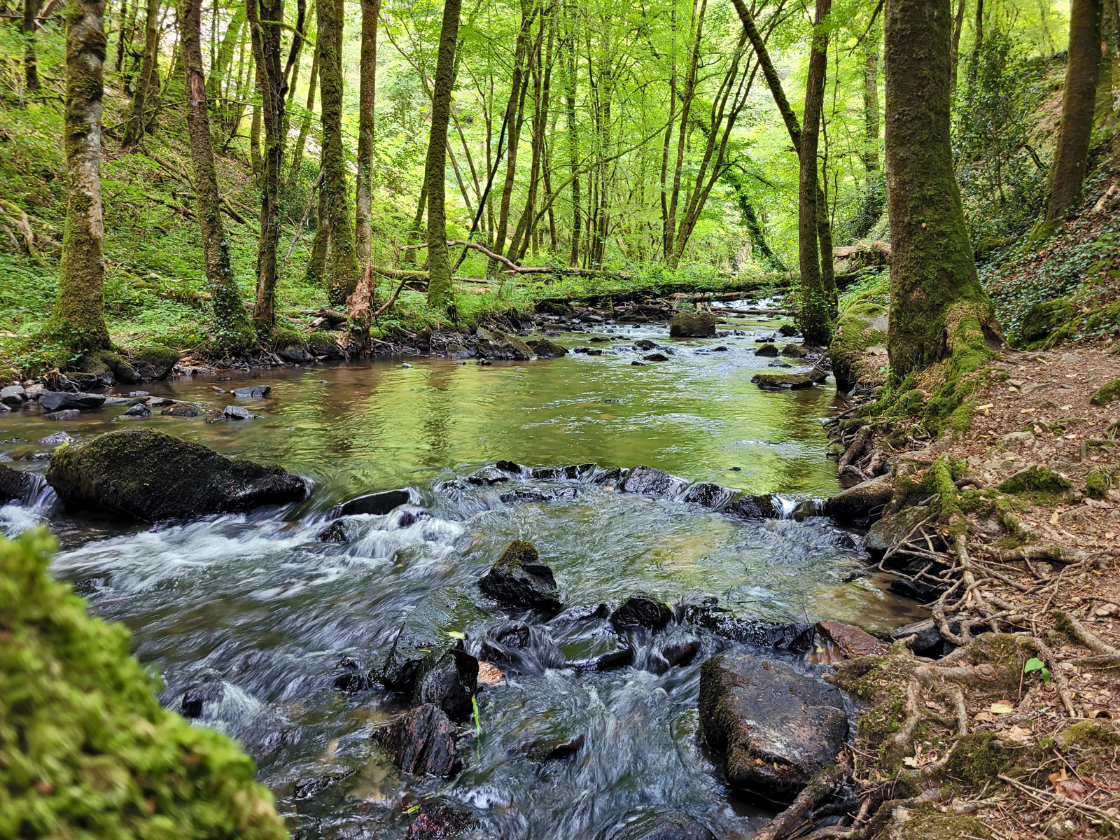 Cascades de Murel - Sites Naturels / Parcs Naturels à Albussac - Guide ...